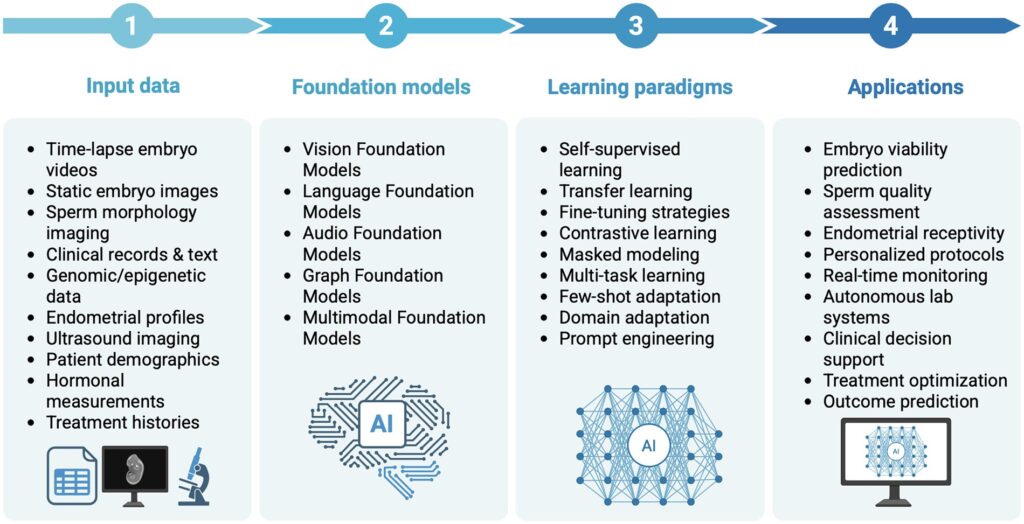 Foundation models: the next level of AI in ART - Fertsy