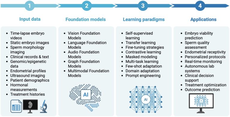 Foundation models: the next level of AI in ART - Fertsy