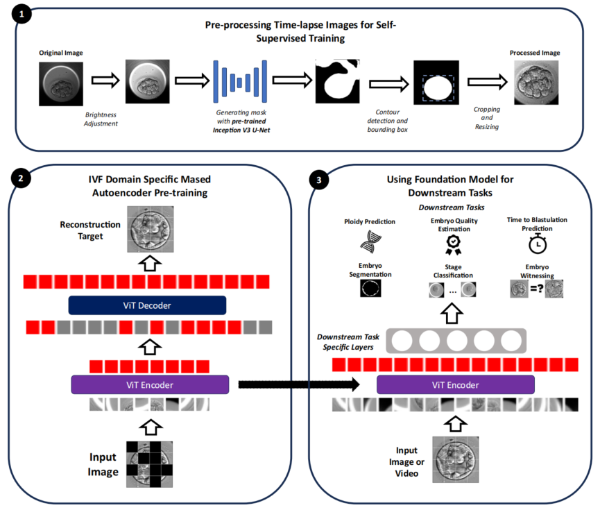 FEMI: The fundamental model for artificial intelligence assessment in ...
